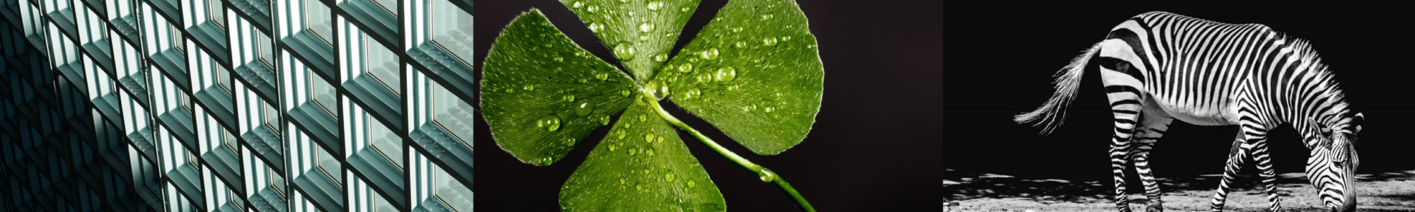 Comparing Clover, Stripe, and Square. Which is right for your business ...